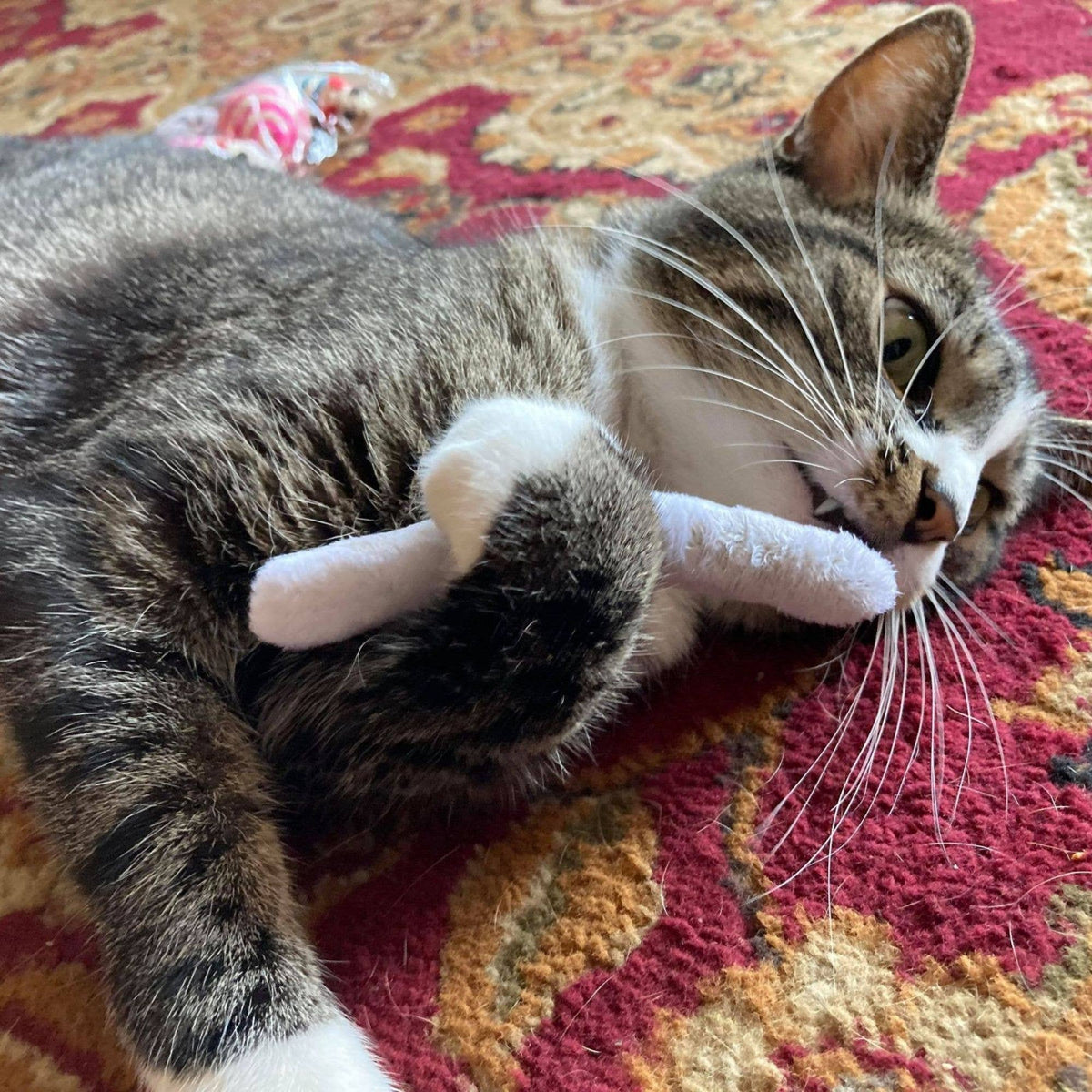 Smokey's Stash Catnip Pre Rolled Joints (5 Pack) | Two Words On...